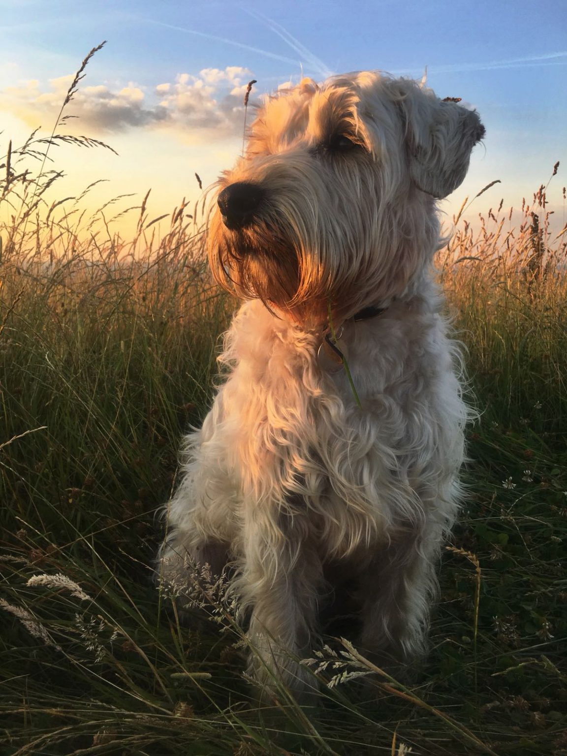 Workplace wellbeing story: Ian Braid Founder of DOCIAsport | WeThrive