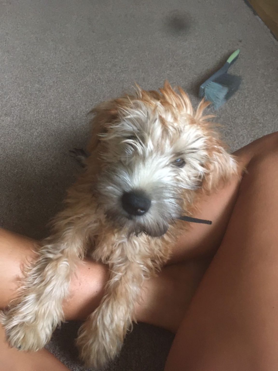 Workplace wellbeing story: Ian Braid Founder of DOCIAsport | WeThrive